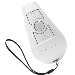 Product: PA100